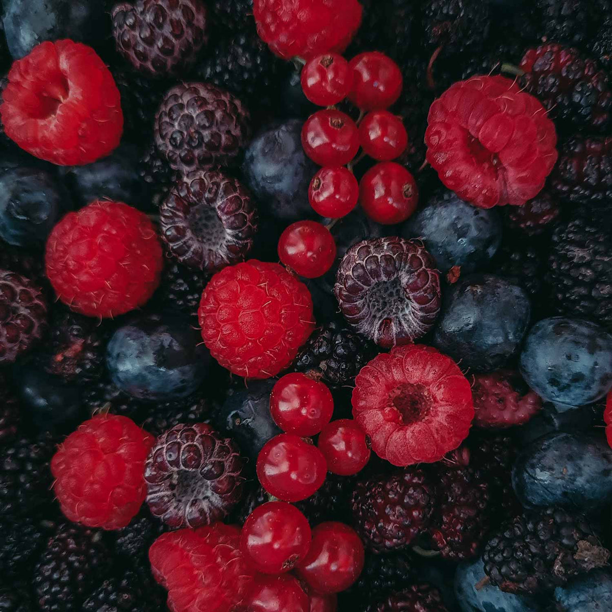 Beauty Tonic – Beyond Fresh